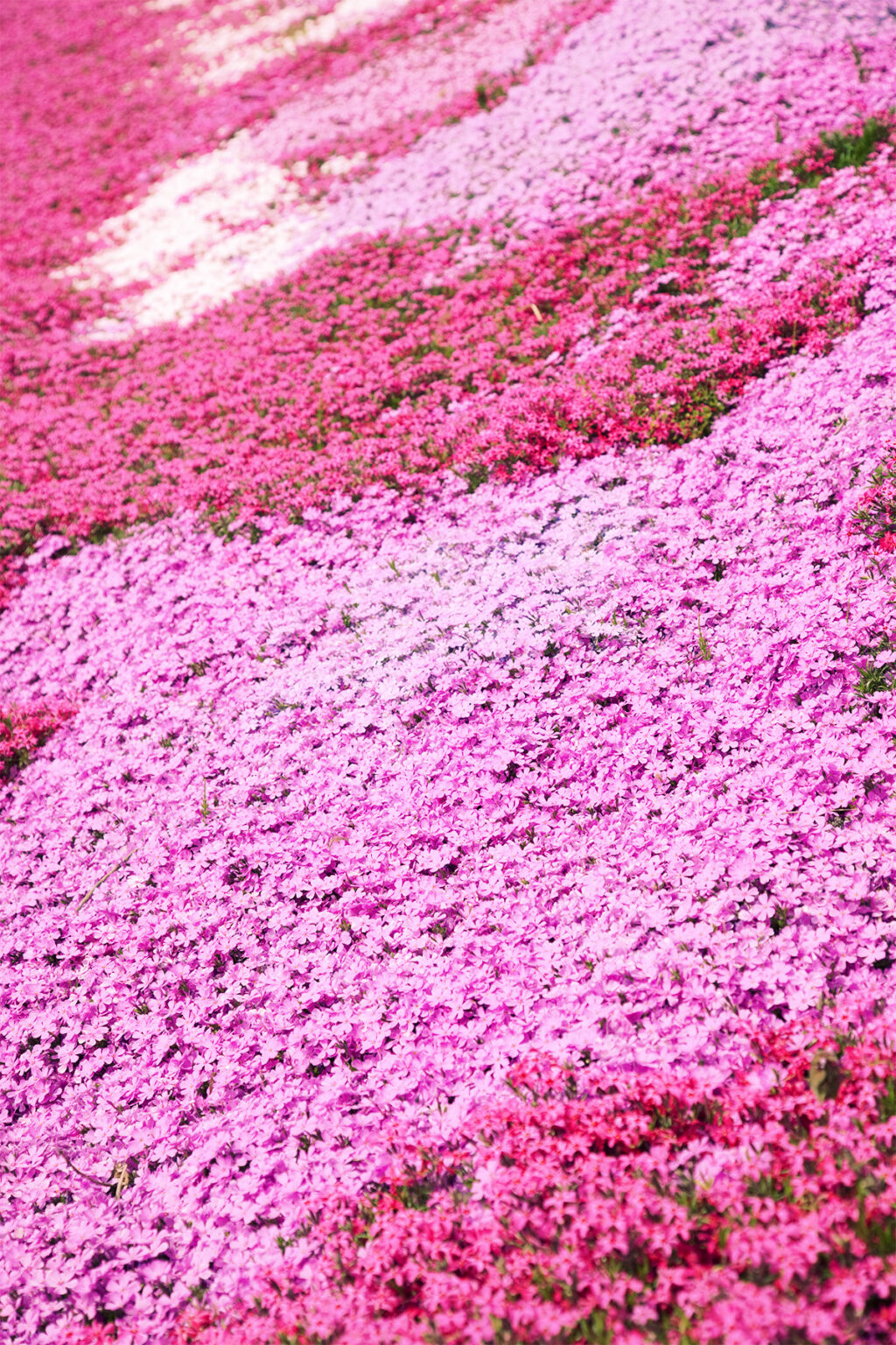 カラープロファイルとは？ カラーマネジメントの基本をわかりやすく解説 | 321web